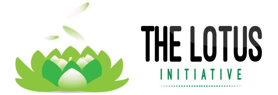 What we do - The Lotus Initiative Africa